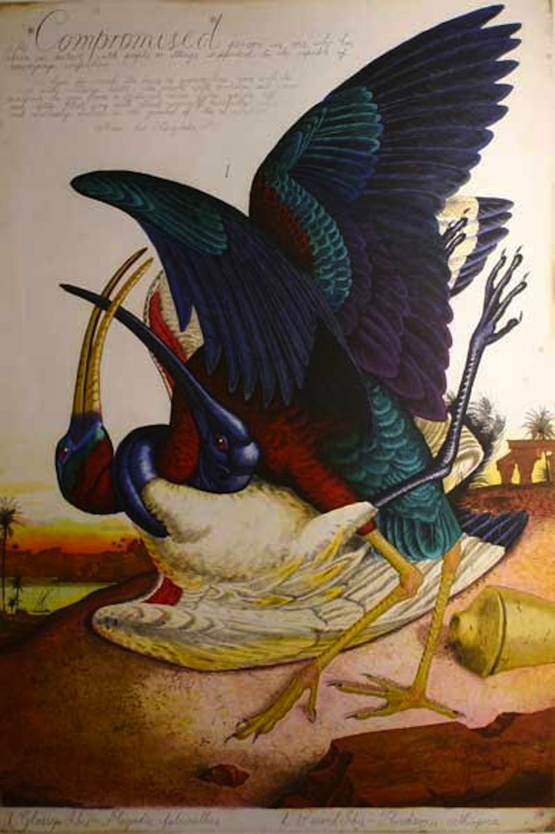 WOW! | Gregg Shienbaum Fine Art